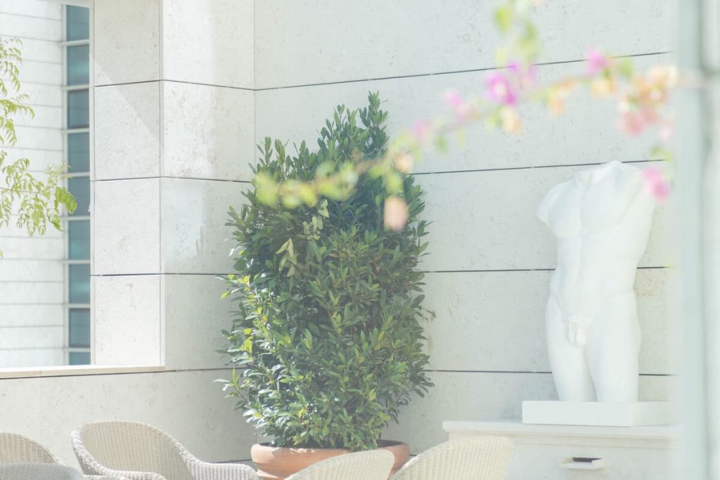 Galeria | Allora Restaurante & Bar